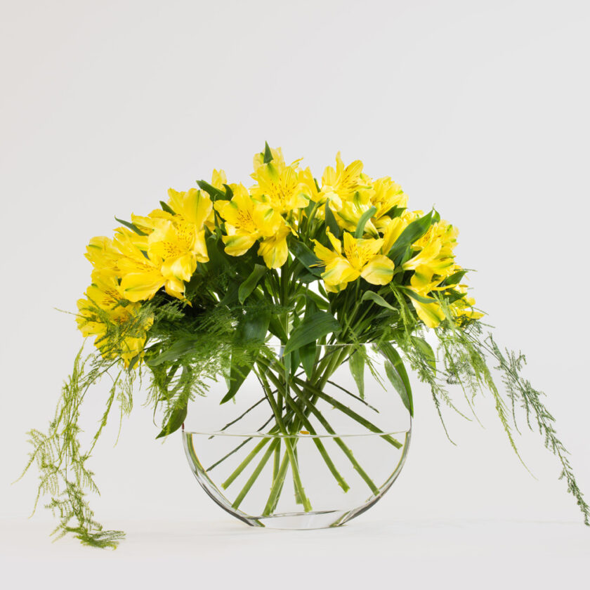 Get Well Soon Flower | Same Day Delivery - Solo Flowers